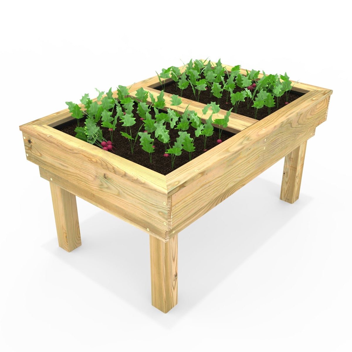 Wooden Learn and Grow Garden Planter from Rebo - Double